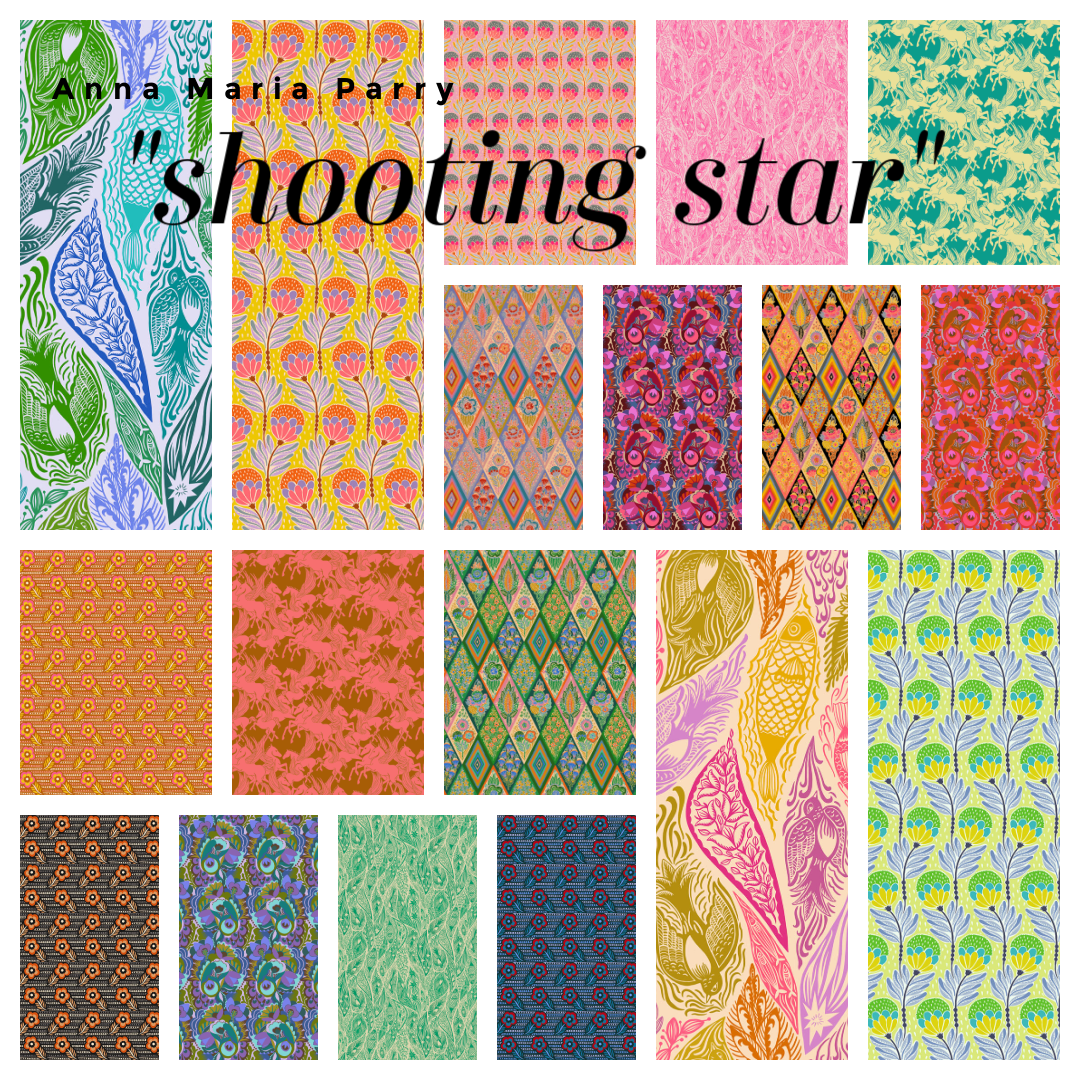 Anna Maria Parry "Shooting Star" for Northcott Fabrics – Whim So Doodle
